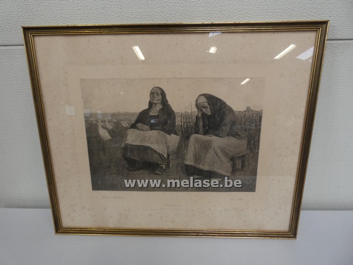 Melase - Auctions